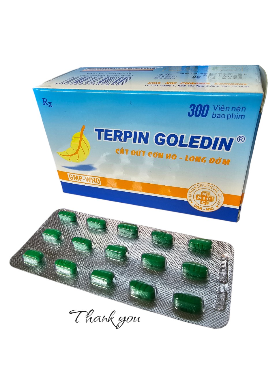 TERPIN GOLEDIN- NIC- HỘP 300 VIÊN - CÔNG TY ĐẠI DƯỢC THÀNH